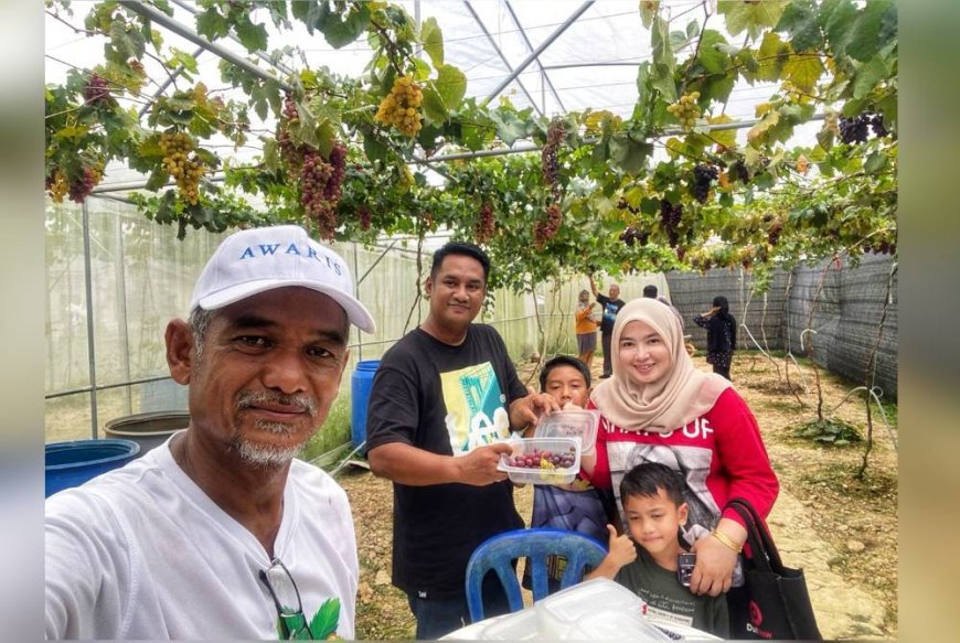 Pusat Pertanian Temin menjadi tumpuan - Pahangku Media